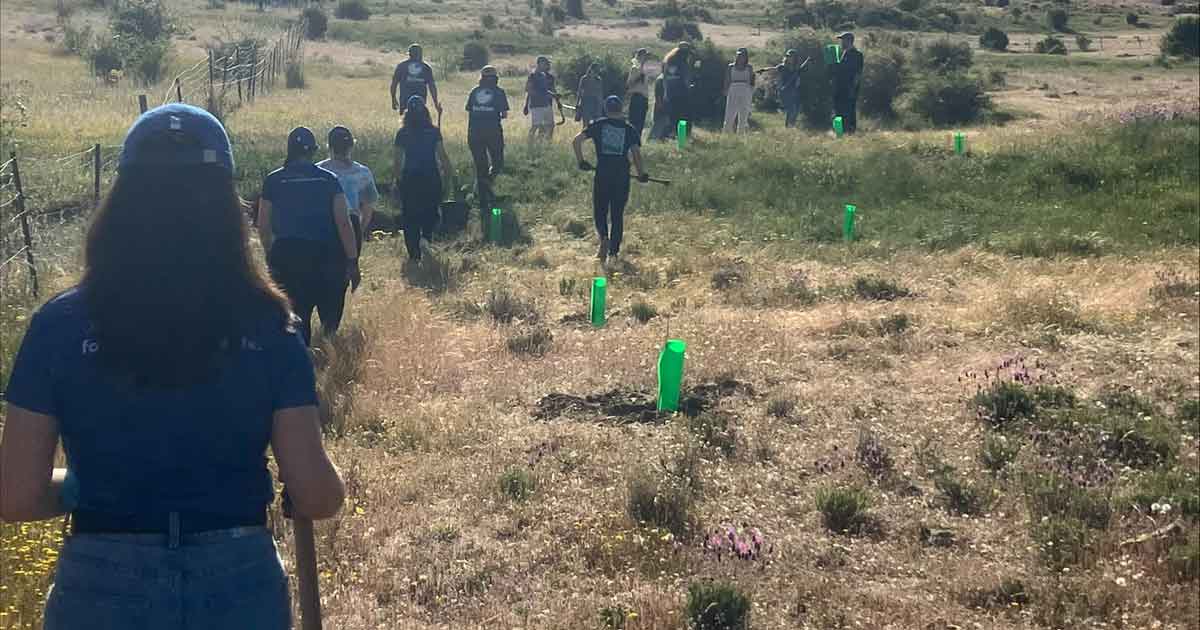 RWE impulsa una colaboración con ReTree para plantar más de 100 árboles ...